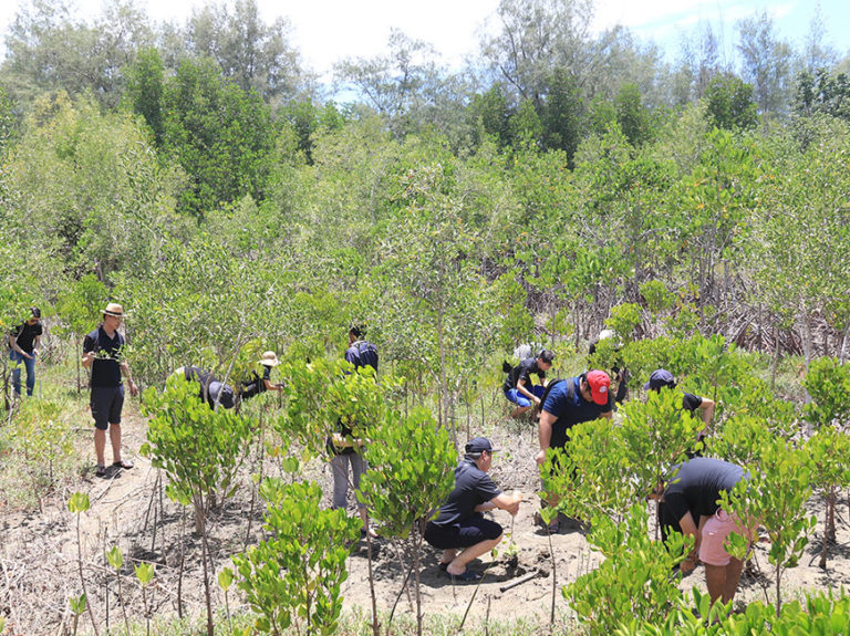 Afforestation Awareness - Frost & Sullivan Institute