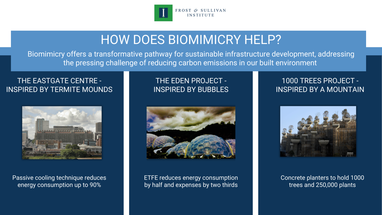 Biomimicry in Sustainable Architecture: A Blueprint for a Greener ...