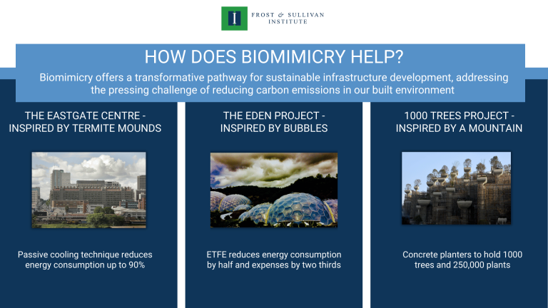 Biomimicry in Sustainable Architecture: A Blueprint for a Greener ...