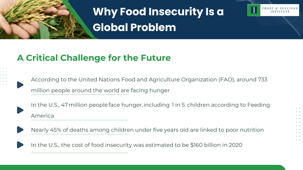 Why Food Insecurity Is a Global Problem: A Critical Challenge for the ...
